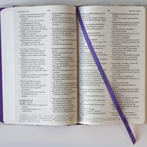 Biblia RVR1960 Tapa dura y tela morada con flores tamaño manual / Spanish Bible RVR 1960 Handy Size Large Print Hardcover Cloth with Purple Floral