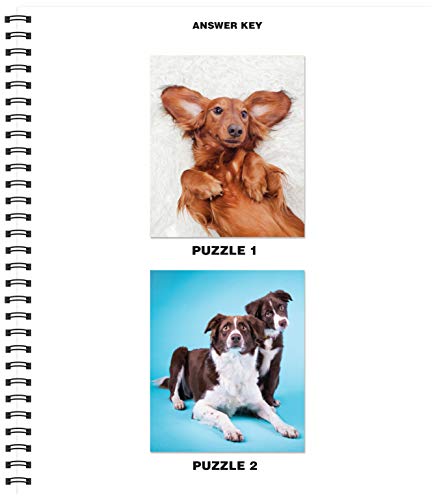 Brain Games - Sticker by Number: Dogs & Puppies (Easy - Square Stickers): Create Beautiful Art With Easy to Use Sticker Fun!