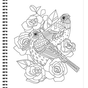 Large Print Easy Color & Frame - Birds (Stress Free Coloring Book)