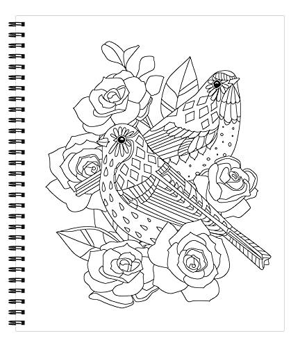 Large Print Easy Color & Frame - Birds (Stress Free Coloring Book)