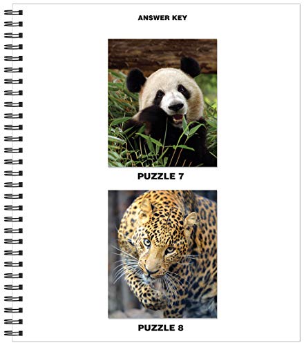 Brain Games - Sticker by Number: Zoo Animals (Easy - Square Stickers): Create Beautiful Art With Easy to Use Sticker Fun!