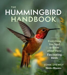 the hummingbird handbook: everything you need to know about these fascinating birds