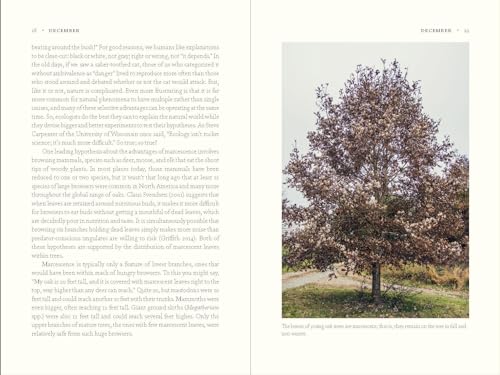 The Nature of Oaks: The Rich Ecology of Our Most Essential Native Trees