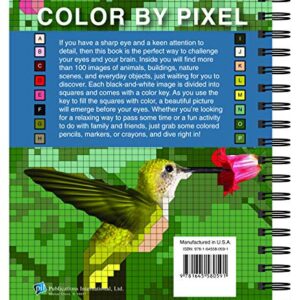 Brain Games - Pixel Pictures: 104 Pictures to Color by Squares