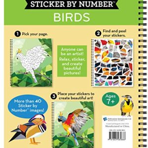 Brain Games - Sticker by Number: Birds (42 Images to Sticker)