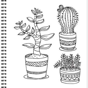 Color & Frame - 3 Books In 1 - Flowers, Deserts, Oceans (Adult Coloring Book)