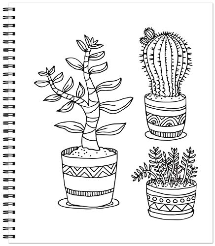 Color & Frame - 3 Books In 1 - Flowers, Deserts, Oceans (Adult Coloring Book)