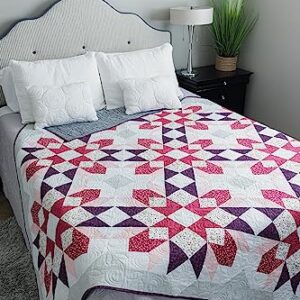 Barn Star Sampler: 20 Starry Blocks and 7 Spectacular Quilts