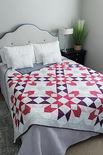 Barn Star Sampler: 20 Starry Blocks and 7 Spectacular Quilts