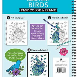 Large Print Easy Color & Frame - Birds (Stress Free Coloring Book)