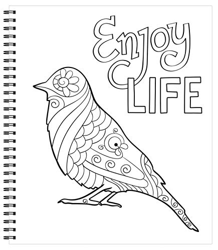 Large Print Easy Color & Frame - Calm (Stress Free Coloring Book)