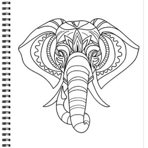 Large Print Easy Color & Frame - Nature (Stress Free Coloring Book)