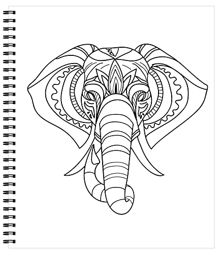 Large Print Easy Color & Frame - Nature (Stress Free Coloring Book)