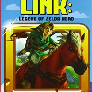 Link: Legend of Zelda Hero (Video Game Heroes)