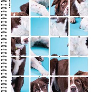 Brain Games - Sticker by Number: Dogs & Puppies (Easy - Square Stickers): Create Beautiful Art With Easy to Use Sticker Fun!