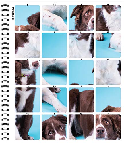 Brain Games - Sticker by Number: Dogs & Puppies (Easy - Square Stickers): Create Beautiful Art With Easy to Use Sticker Fun!