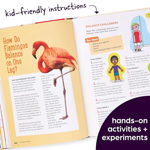 The Highlights Book of How: Discover the Science Behind How the World Works, Hands-On Activities & Experiments for Kids, 100+ Activities to Learn How Science Works (Highlights Books of Doing)