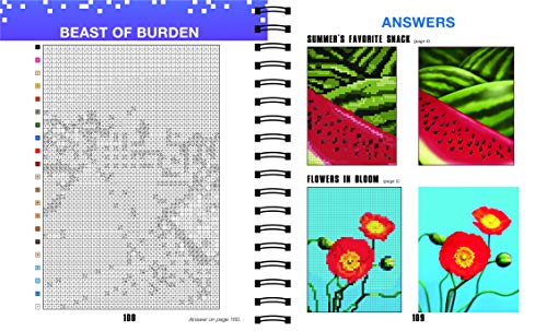 Brain Games - Pixel Pictures: 104 Pictures to Color by Squares