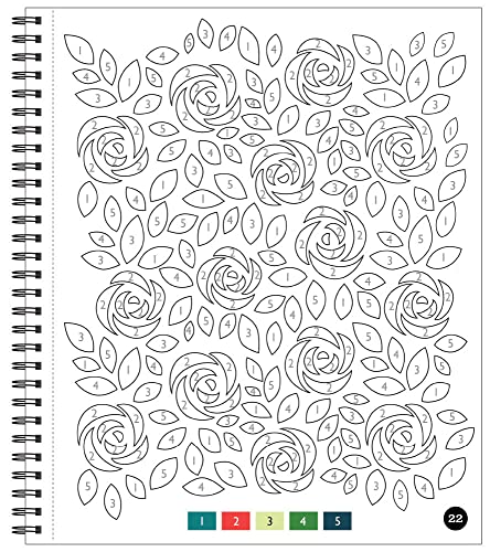 Brain Games - Color by Number - Large Print: Patterns (Stress Free Coloring Book)