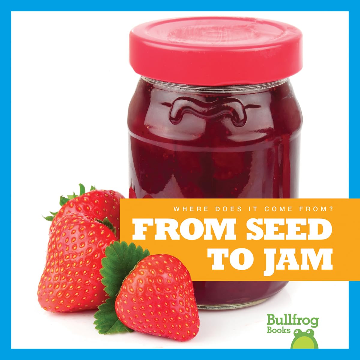 From Seed to Jam (Bullfrog Books: Where Does It Come From?)