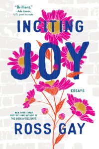 inciting joy: essays