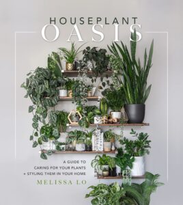 houseplant oasis: a guide to caring for your plants + styling them in your home