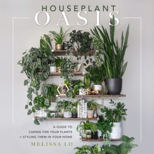 Houseplant Oasis: A Guide to Caring for Your Plants + Styling Them in Your Home