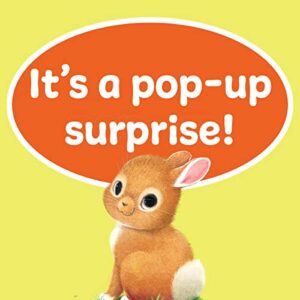 Happy Easter, Little Bunny Lift-a-Flap & Pop-Up Surprise Children's Board Book, Ages 2-6