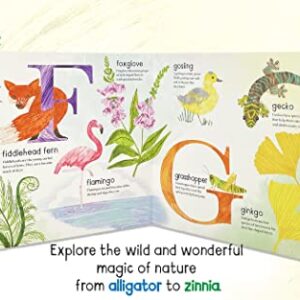 ABCs of Nature: A Wild & Wonderful Alphabet Experience - ABC Learning Book for Toddlers, Kindergartners, and Curious Minds with Fun Fact Bites, Ages 1-5