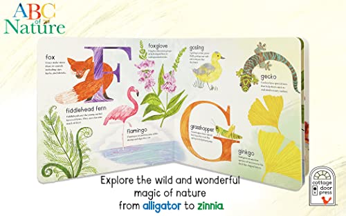 ABCs of Nature: A Wild & Wonderful Alphabet Experience - ABC Learning Book for Toddlers, Kindergartners, and Curious Minds with Fun Fact Bites, Ages 1-5