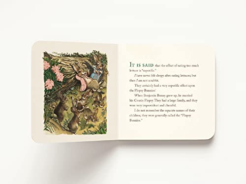 The Peter Rabbit Classic Collection (The Revised Edition): A Board Book Box Set Including Peter Rabbit, Jeremy Fisher, Benjamin Bunny, Two Bad Mice, ... Children's Classics With Valuable Lessons)