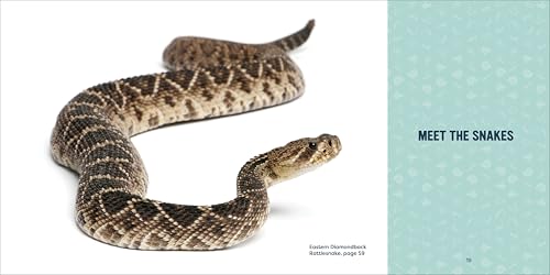 Snakes for Kids: A Junior Scientist's Guide to Venom, Scales, and Life in the Wild