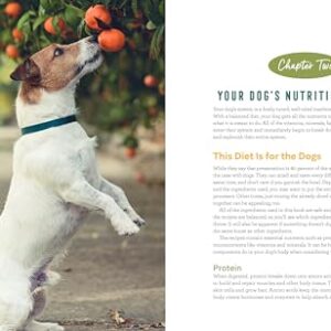 Easy Dog Food Recipes: 60 Healthy Dishes to Feed Your Pet Safely