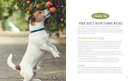 Easy Dog Food Recipes: 60 Healthy Dishes to Feed Your Pet Safely