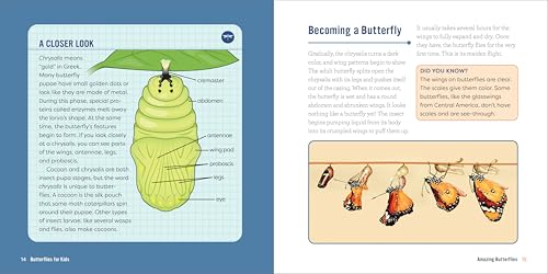 Butterflies for Kids: A Junior Scientist's Guide to the Butterfly Life Cycle and Beautiful Species to Discover