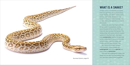 Snakes for Kids: A Junior Scientist's Guide to Venom, Scales, and Life in the Wild