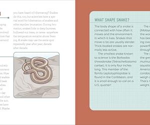 Snakes for Kids: A Junior Scientist's Guide to Venom, Scales, and Life in the Wild