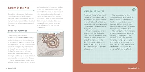 Snakes for Kids: A Junior Scientist's Guide to Venom, Scales, and Life in the Wild