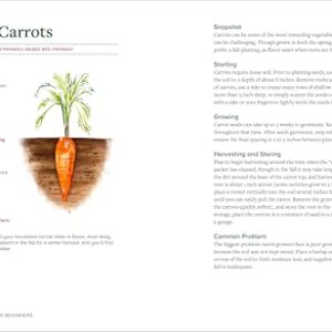 Vegetable Gardening for Beginners: A Simple Guide to Growing Vegetables at Home