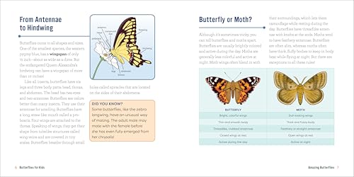 Butterflies for Kids: A Junior Scientist's Guide to the Butterfly Life Cycle and Beautiful Species to Discover