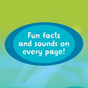 Swim and Splash in the Sea! Let's Listen to the Ocean - 10-Button Children's Sound Book, Ages 2-7