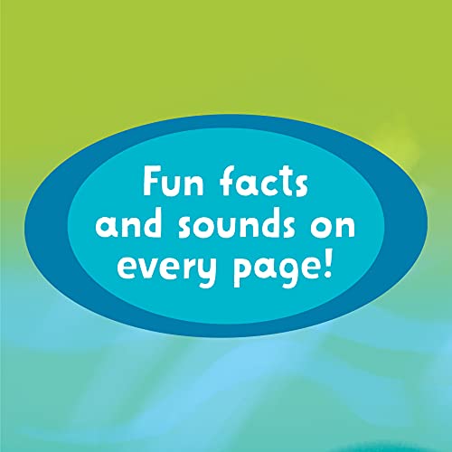 Swim and Splash in the Sea! Let's Listen to the Ocean - 10-Button Children's Sound Book, Ages 2-7