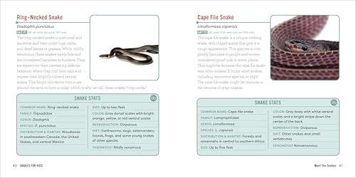 Snakes for Kids: A Junior Scientist's Guide to Venom, Scales, and Life in the Wild