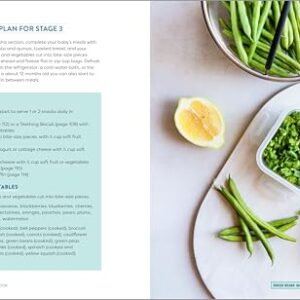 Make-Ahead Baby Food Cookbook: Meal Plans and Recipes for Every Stage