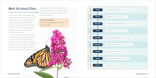 Butterflies for Kids: A Junior Scientist's Guide to the Butterfly Life Cycle and Beautiful Species to Discover