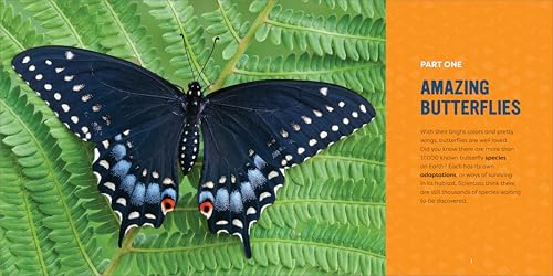 Butterflies for Kids: A Junior Scientist's Guide to the Butterfly Life Cycle and Beautiful Species to Discover