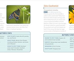 Butterflies for Kids: A Junior Scientist's Guide to the Butterfly Life Cycle and Beautiful Species to Discover