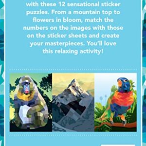 Sticker by Number Nature - 12 Designs Including Mountains, Waves, Flowers, Fish, Frogs, Birds, Dragonfly & More