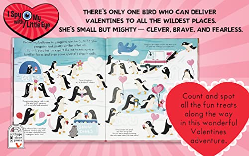 Valentine Love & Find - I Spy With My Little Eye Kids Search, Find, and Seek Activity Book, Ages 3, 4, 5, 6+