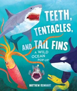 teeth, tentacles, and tail fins (reinhart pop-up studio): a wild ocean pop-up (reinhart studios) (ocean book for kids, shark book for kids, nature book for kids)